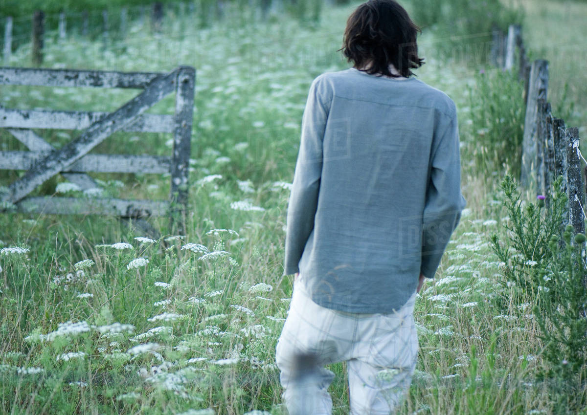 Man walking in field, rear view - Royalty-free Stock Photo | Dissolve