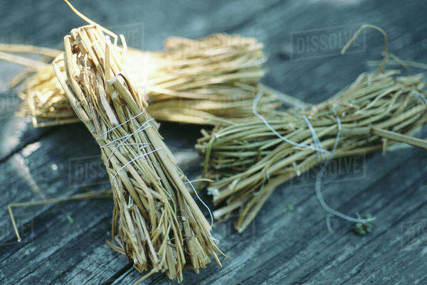 Bundles of dried stems - Stock Photo - Dissolve