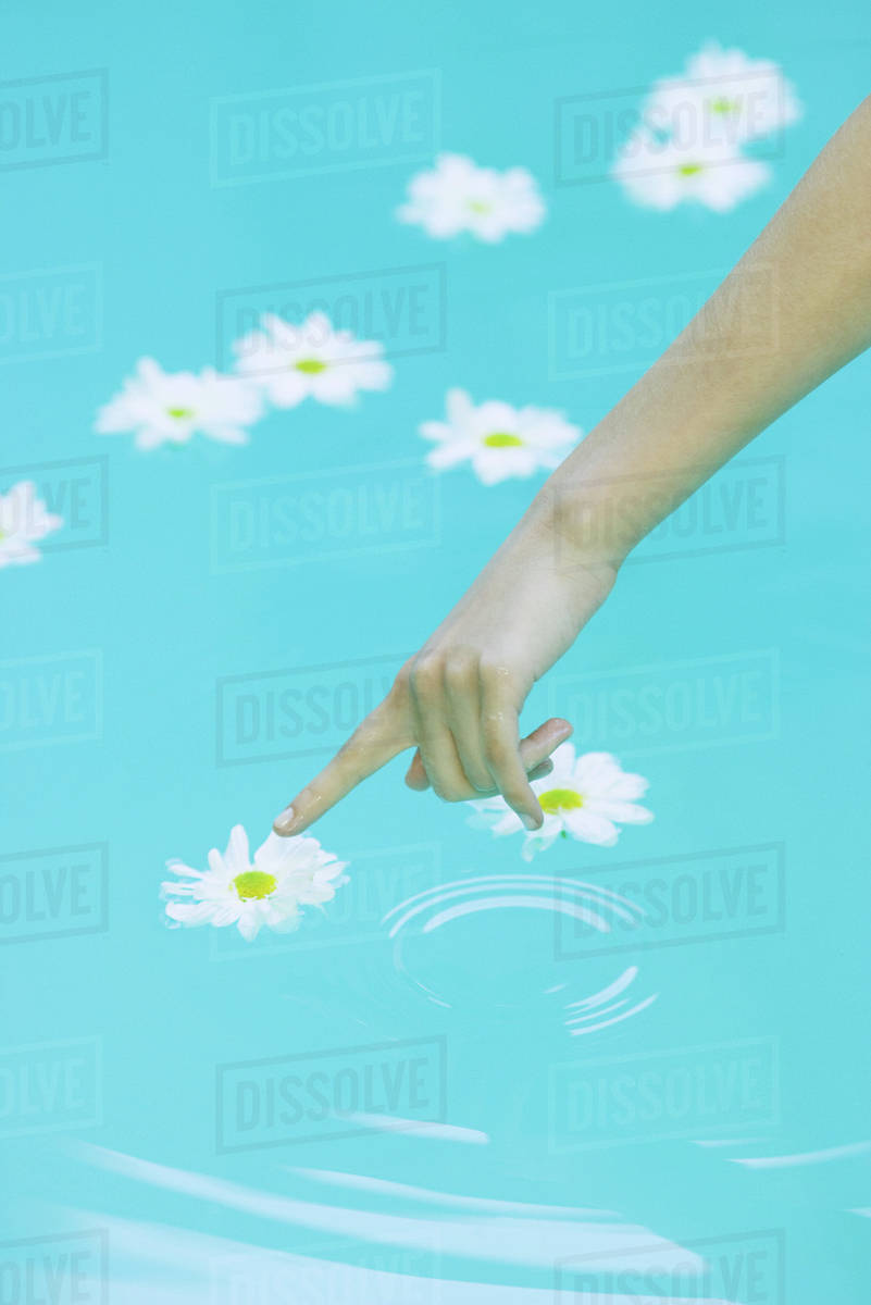Young woman touching flower floating on surface of water, cropped view ...