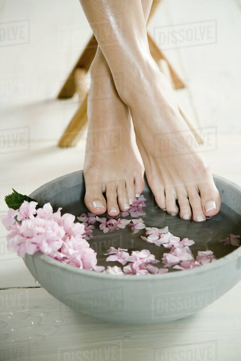 Young woman's feet and floral foot bath - Stock Photo - Dissolve