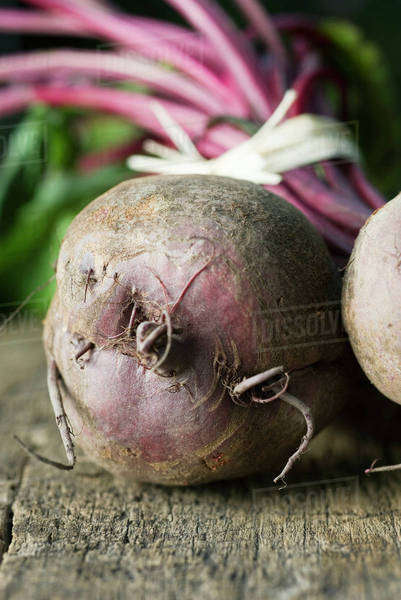 Bottom of raw beet, close-up - Royalty-free Stock Photo | Dissolve