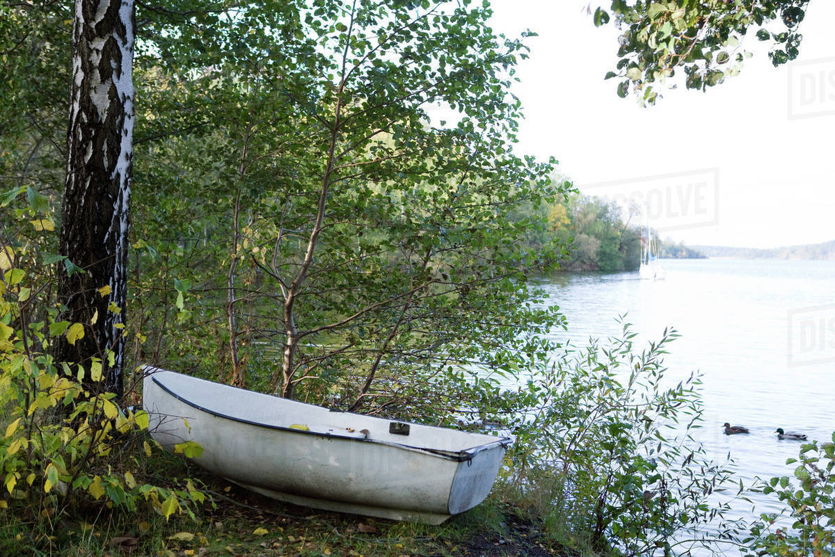 Rowboat on lake shore - Royalty-free Stock Photo | Dissolve