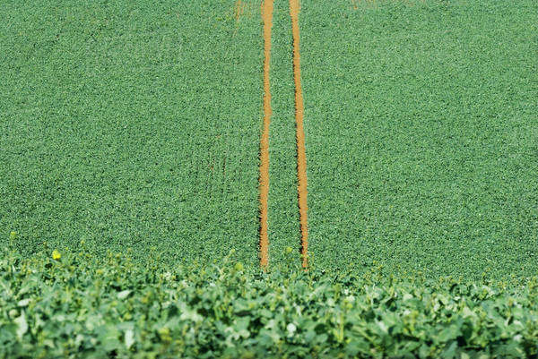 Tire tracks in cultivated field, high angle view - Royalty-free Stock ...