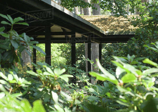 Covered walkway - Royalty-free Stock Photo | Dissolve