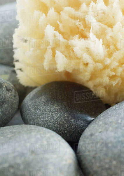 Natural sponge and stones, extreme close-up - Stock Photo - Dissolve