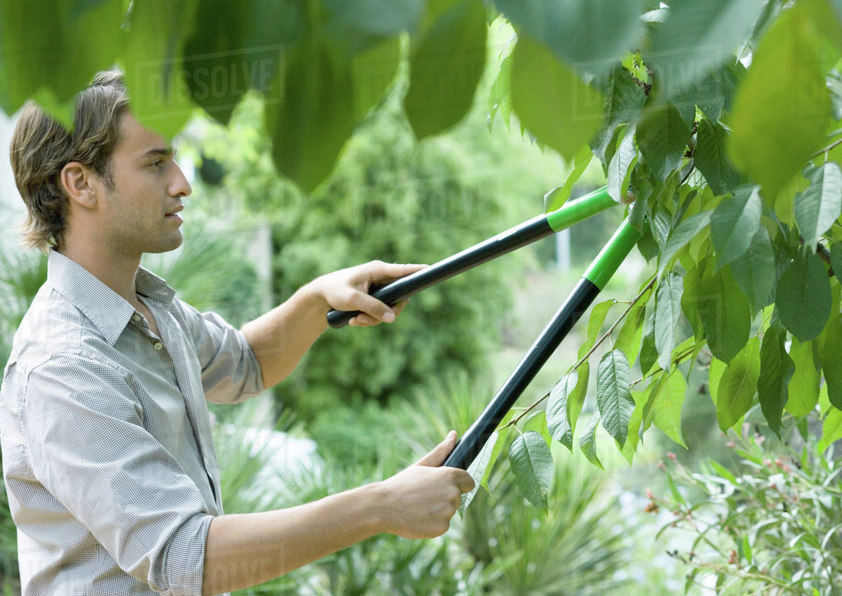 Man pruning tree - Royalty-free Stock Photo | Dissolve
