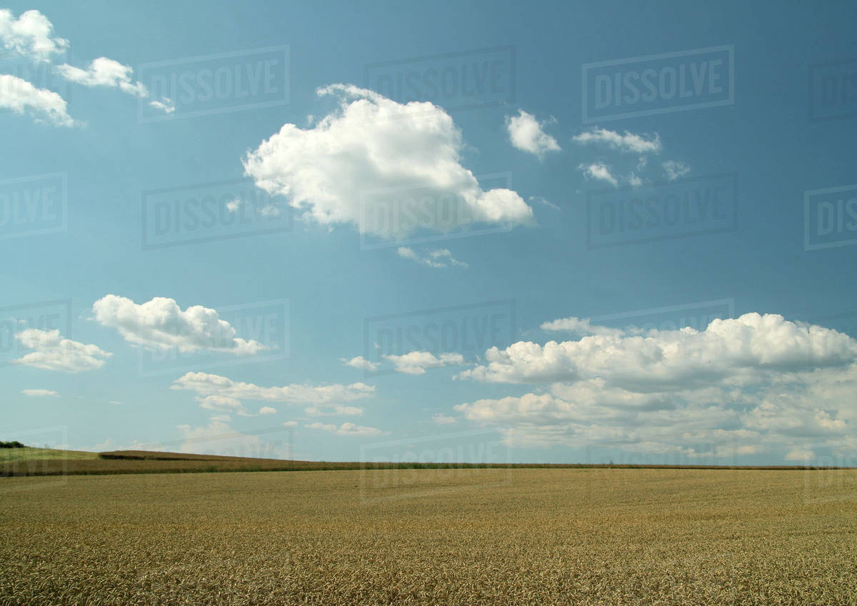 Field and sky - Royalty-free Stock Photo | Dissolve