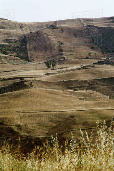 Rolling landscape with fields - Stock Photo - Dissolve