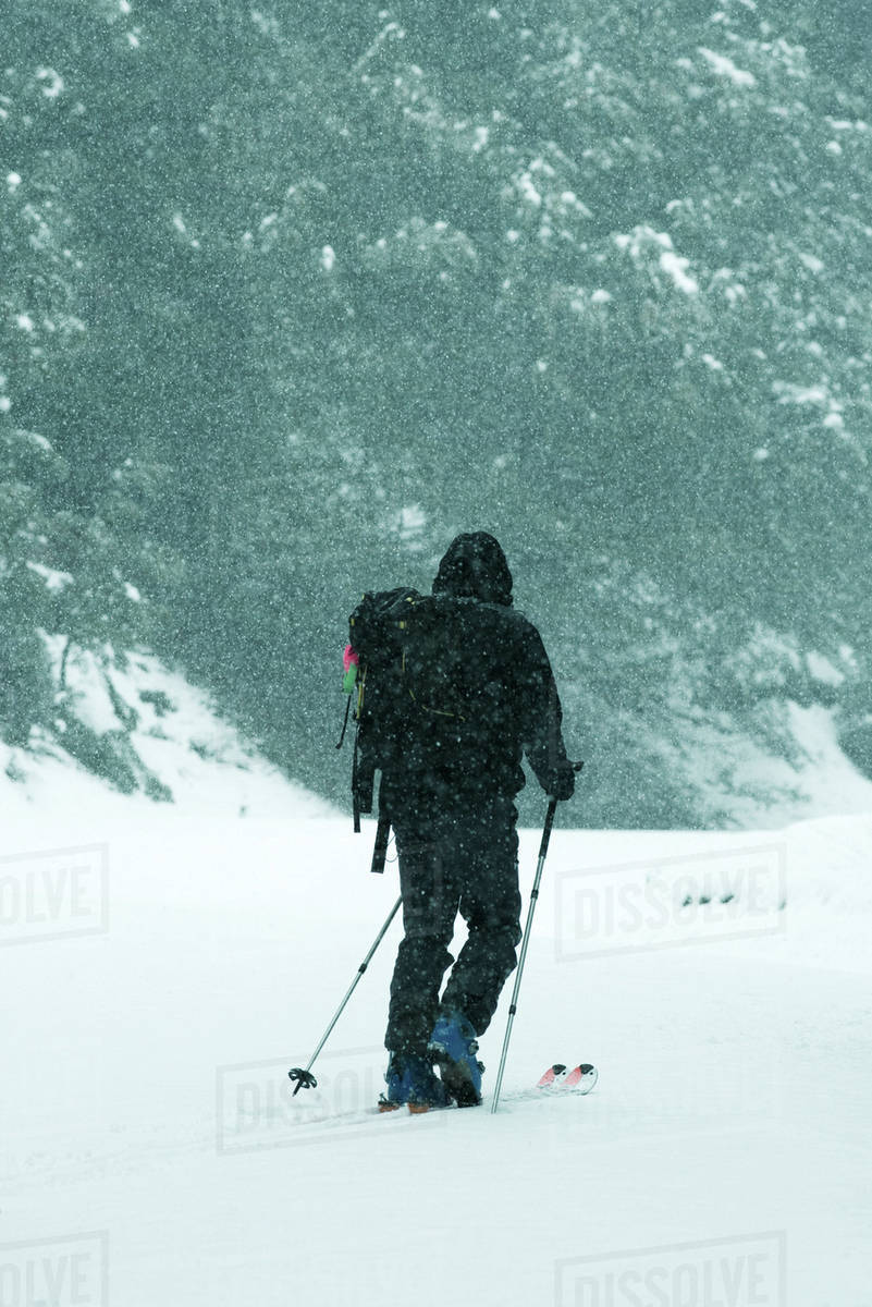 Cross-country skier, rear view - Royalty-free Stock Photo | Dissolve