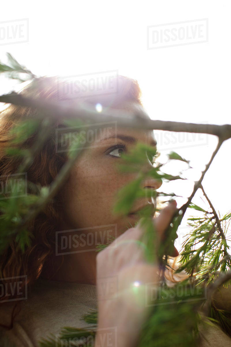 Young woman holding tree branch - Stock Photo - Dissolve