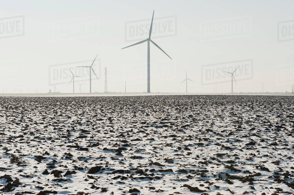 Wind turbines in field - Stock Photo - Dissolve