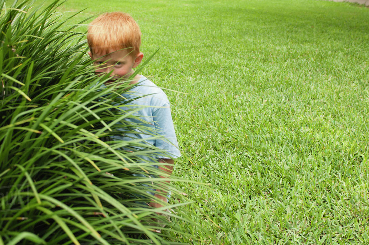 Boy hiding behind tall grass - Royalty-free Stock Photo | Dissolve