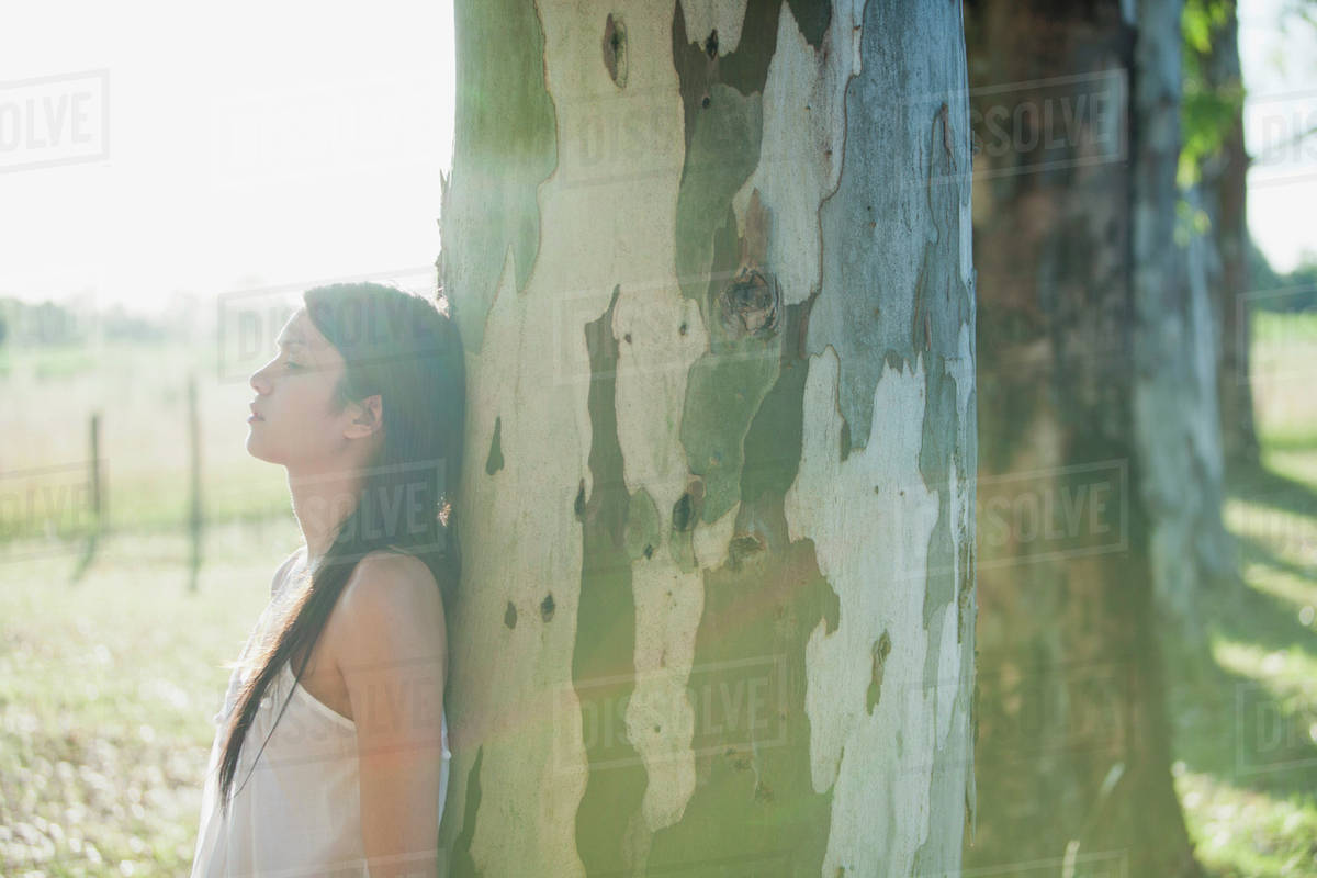 Young woman leaning against tree trunk - Royalty-free Stock Photo ...