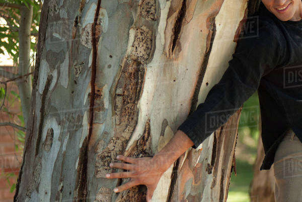 Man touching tree trunk, cropped - Royalty-free Stock Photo | Dissolve