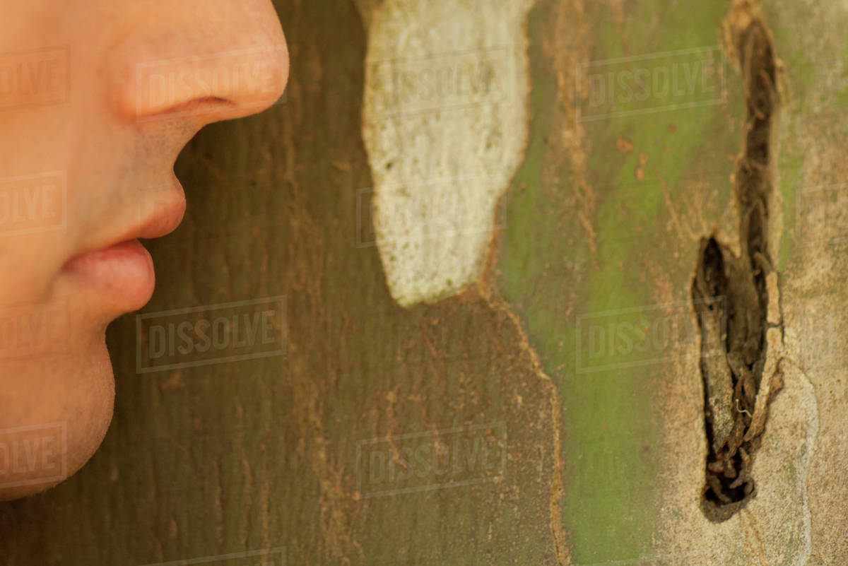 Man's face leaning against tree bark - Royalty-free Stock Photo | Dissolve