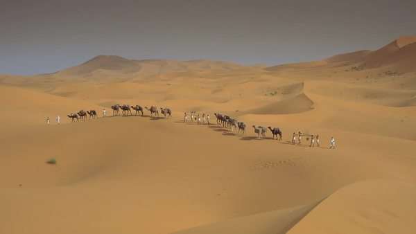 FootageBank | Dissolve