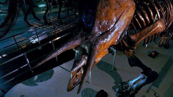 FootageBank | Dissolve