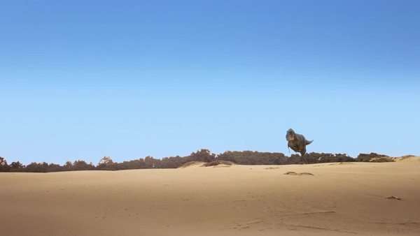 FootageBank | Dissolve