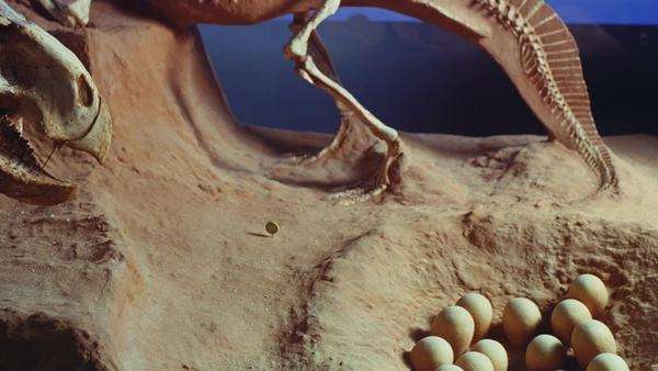 FootageBank | Dissolve