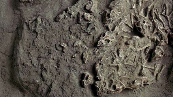 FootageBank | Dissolve