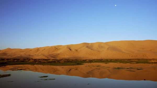 FootageBank | Dissolve