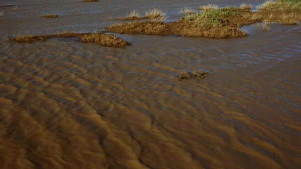 FootageBank | Dissolve