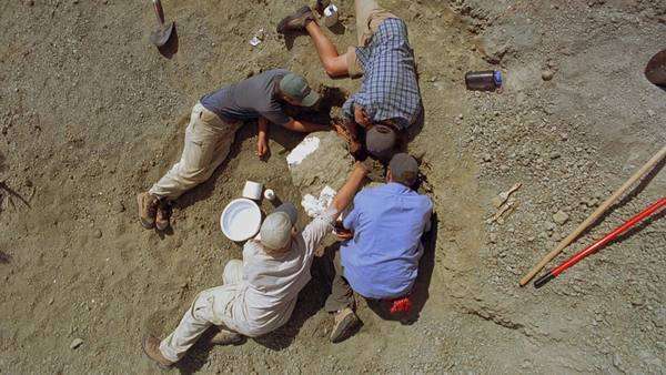 FootageBank | Dissolve