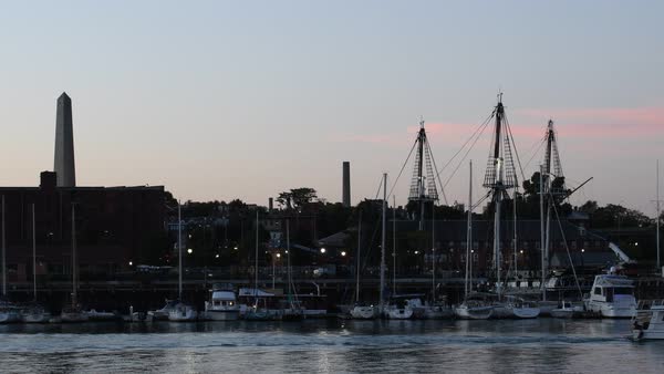 Tracking shot of dolphins jumping in a light green open sea - Stock ...