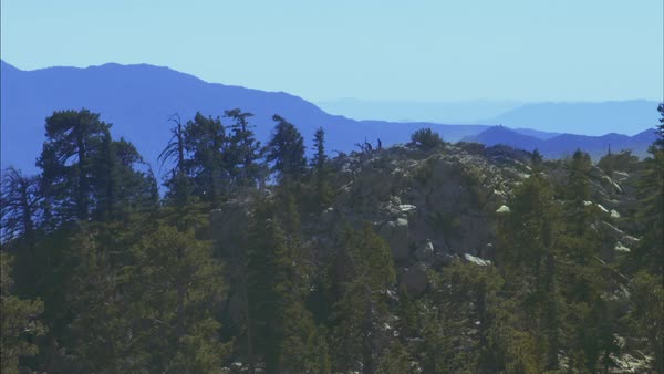 Hikers walking across a tree filled hill - 4K Rights-managed Stock ...