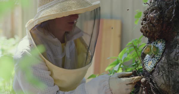 Beekeeper - Dissolve Filmmaker™ | Dissolve