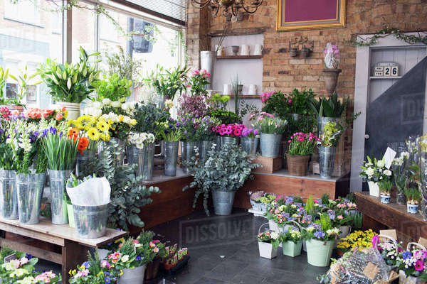 Colorful display of flowers in florists shop - Royalty-free Stock Photo ...