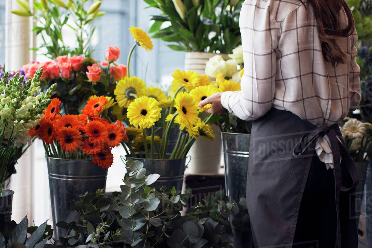 Female florist at work in shop - Royalty-free Stock Photo | Dissolve