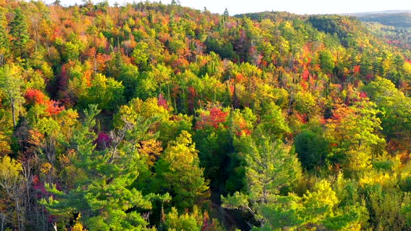 Incomparable Autumn Scenery, Forests and Cliffs of Michigan's Upper ...