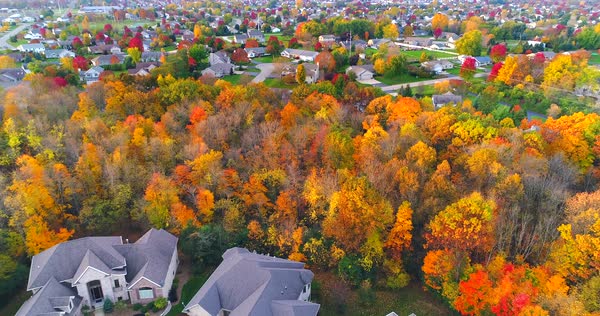 Tranquil idyllic neighborhood amid colorful autumn trees at dawn ...