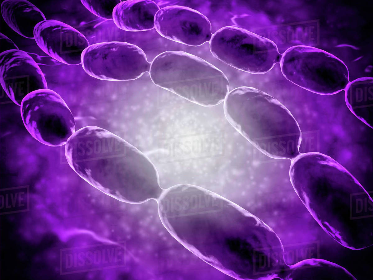 Microscopic view of bacterial pneumonia. - Royalty-free Stock Photo ...