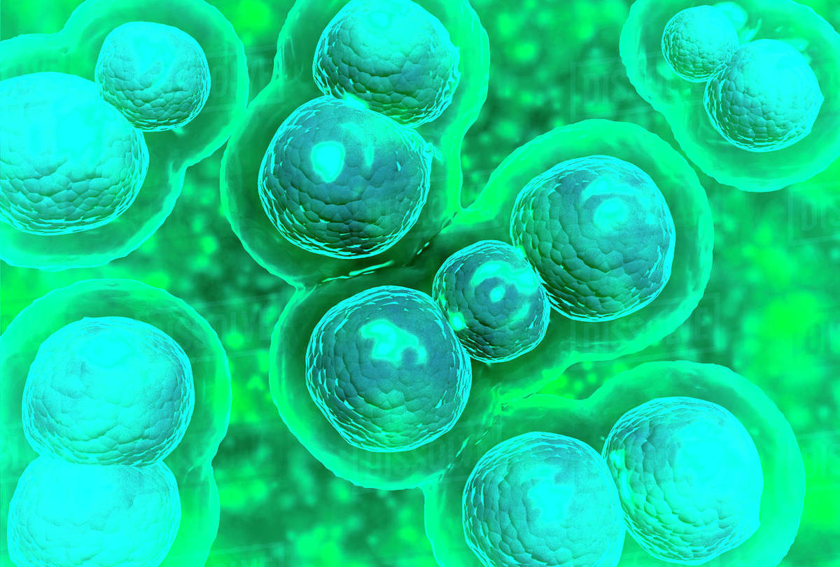 Microscopic view of chlamydia. - Royalty-free Stock Photo | Dissolve