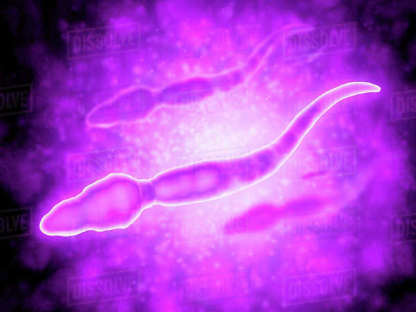 Microscopic view of male sperm cells. - Stock Photo - Dissolve