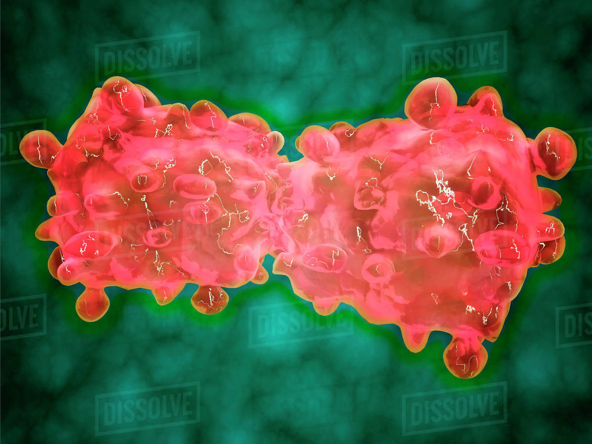 Microscopic view of a leukemia cell. - Royalty-free Stock Photo | Dissolve