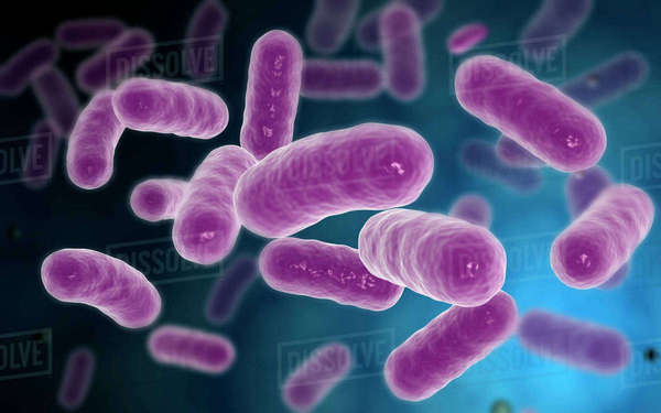 Conceptual image of bacteria. - Royalty-free Stock Photo | Dissolve