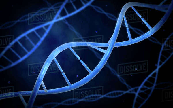 Microscopic view of DNA. - Royalty-free Stock Photo | Dissolve