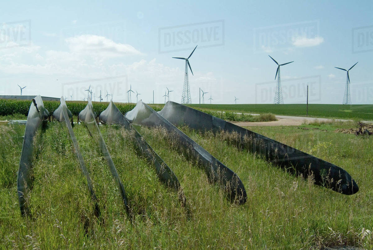 Wind Farm, Storm Lake, Iowa, USA - Royalty-free Stock Photo | Dissolve