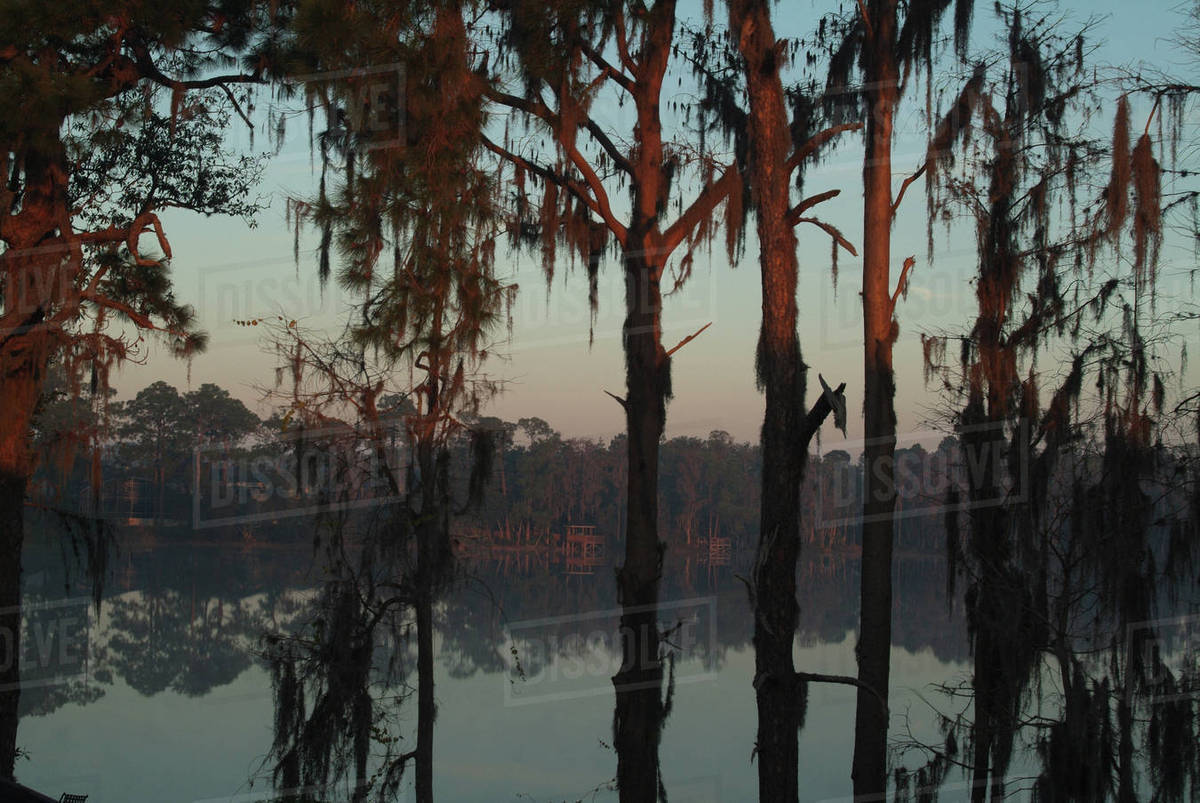 Sunrise over trees backing on to a lake - Royalty-free Stock Photo ...