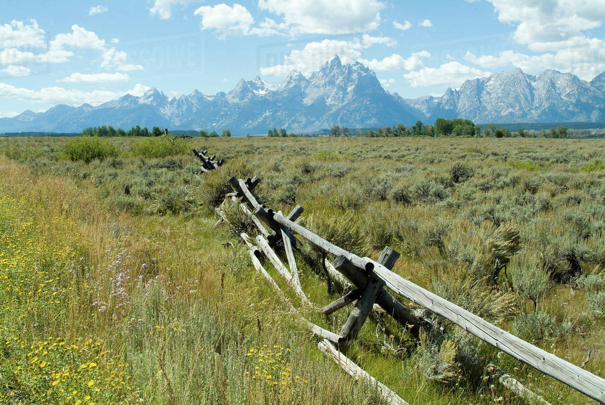 Wooden fence in a wild field - Royalty-free Stock Photo | Dissolve