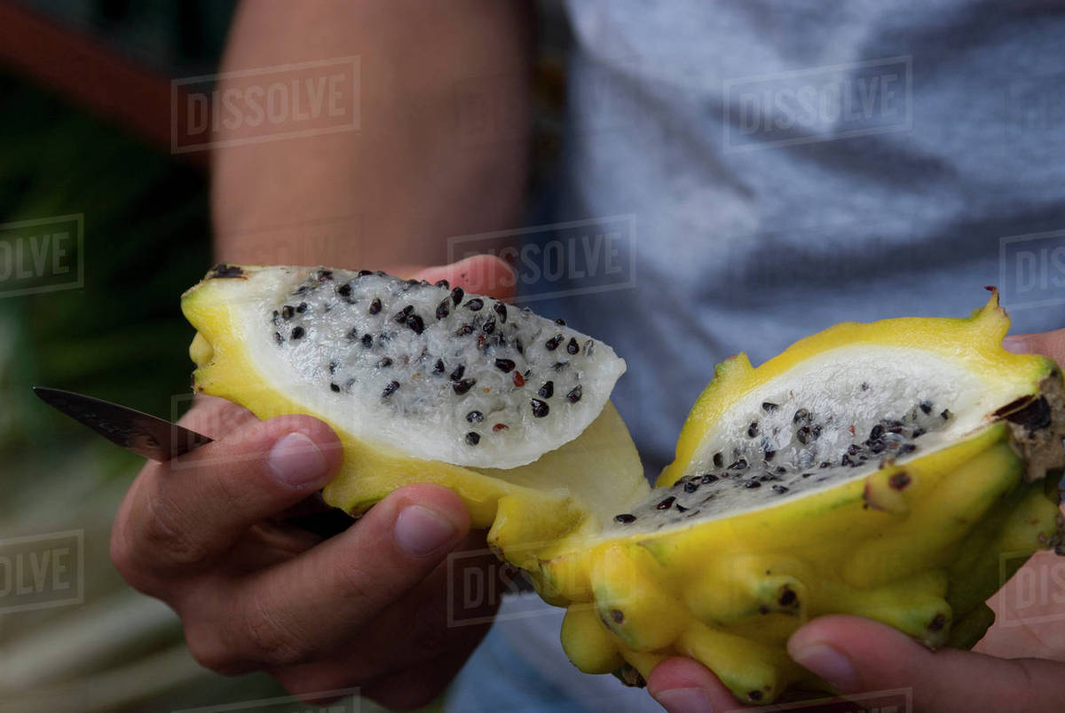 Yellow pitahaya aka cactus fruit - Royalty-free Stock Photo | Dissolve