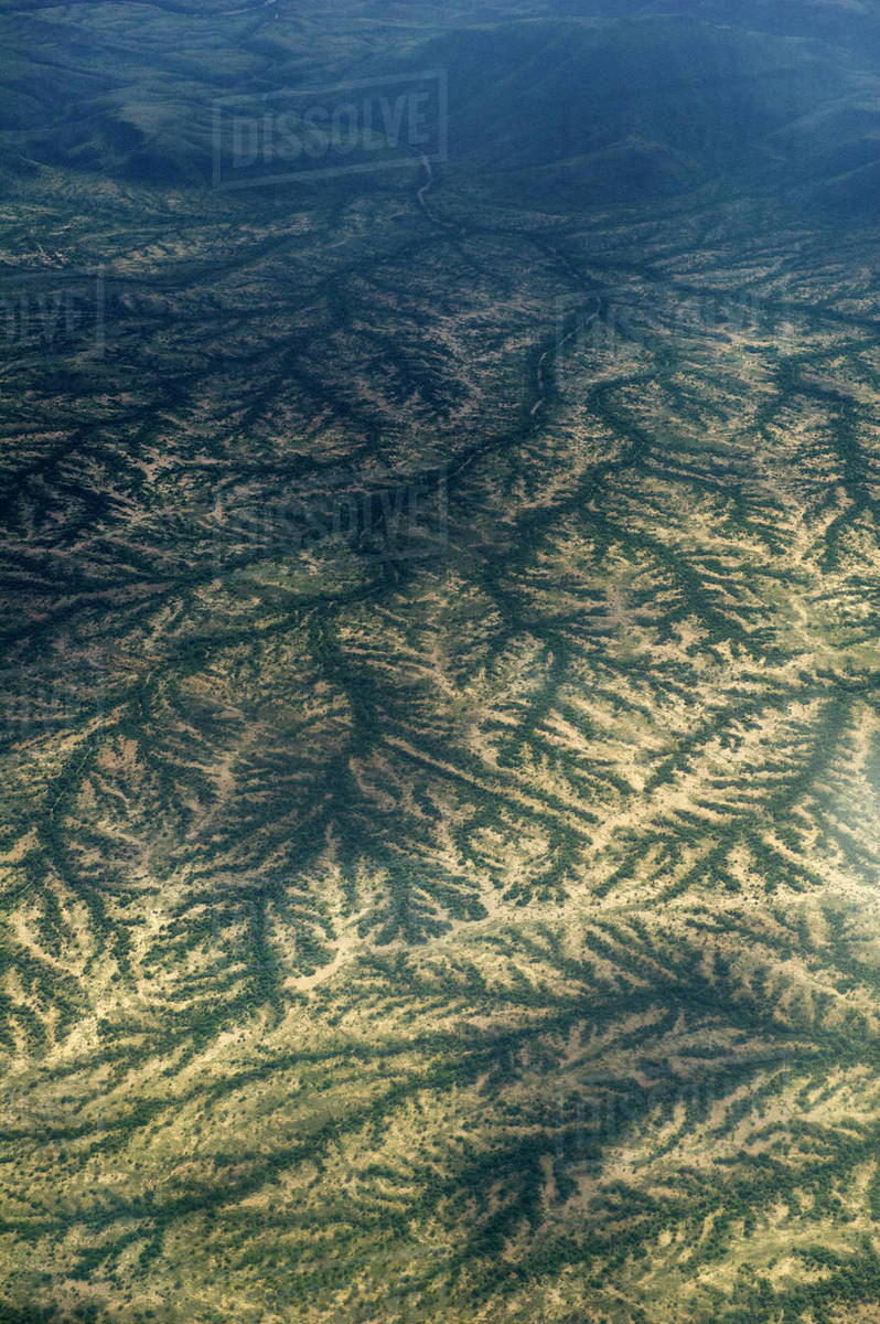 Dendritic drainage of the land at the end of the rainy season, a view ...