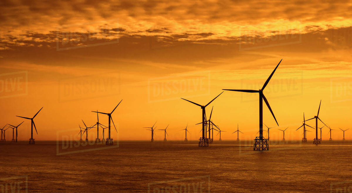 Wind turbines of the Thorntonbank Wind Farm, offshore windfarm off the ...