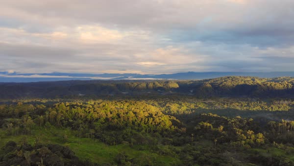 Aerial shot panning over the Amazon rainforest at dawn, looking towards ...