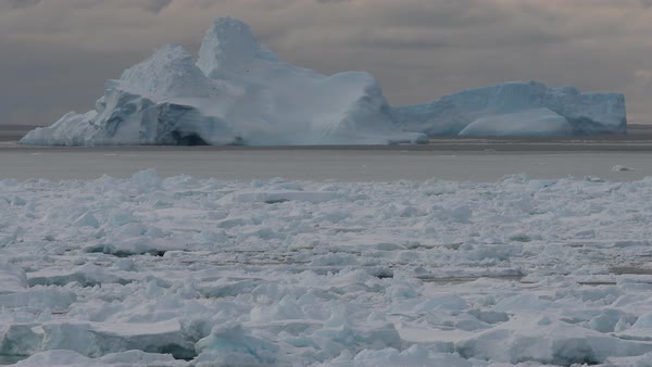 Sea ice forming with iceberg in background, Atka Bay, Antarctica ...