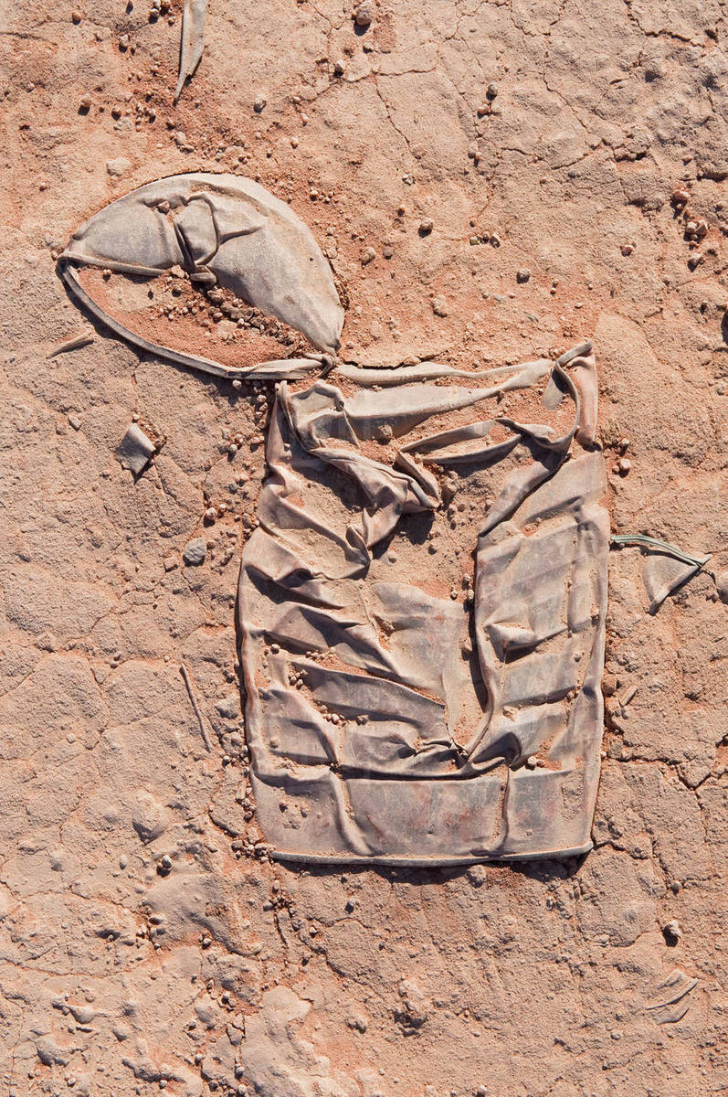 Flattened Can - Royalty-free Stock Photo | Dissolve