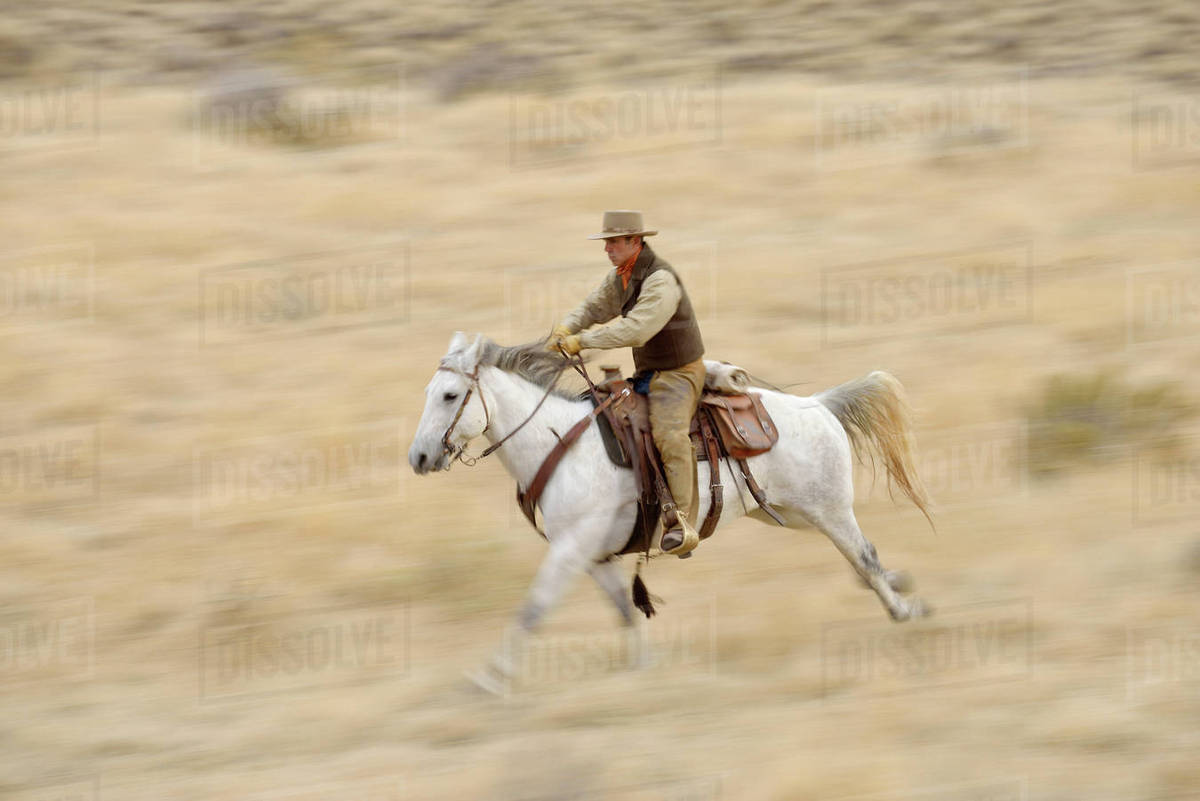 Blurred motion of cowboy on horse galloping in wilderness, Rocky ...